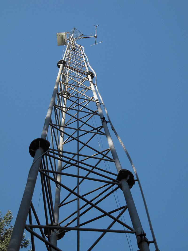 Rosalia Lehrforst - Austria | DEIMS-SDR